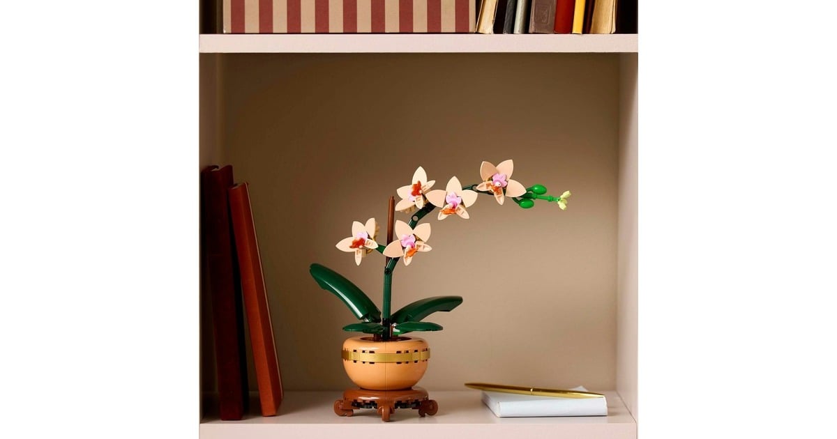 LEGO 10343 Botanicals Mini-Orchidee, Konstruktionsspielzeug