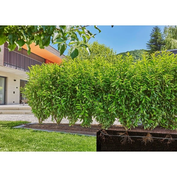 GARDENA Micro-Drip-System Tropfbewässerung Hecken/Büsche Set, 50 Meter ...