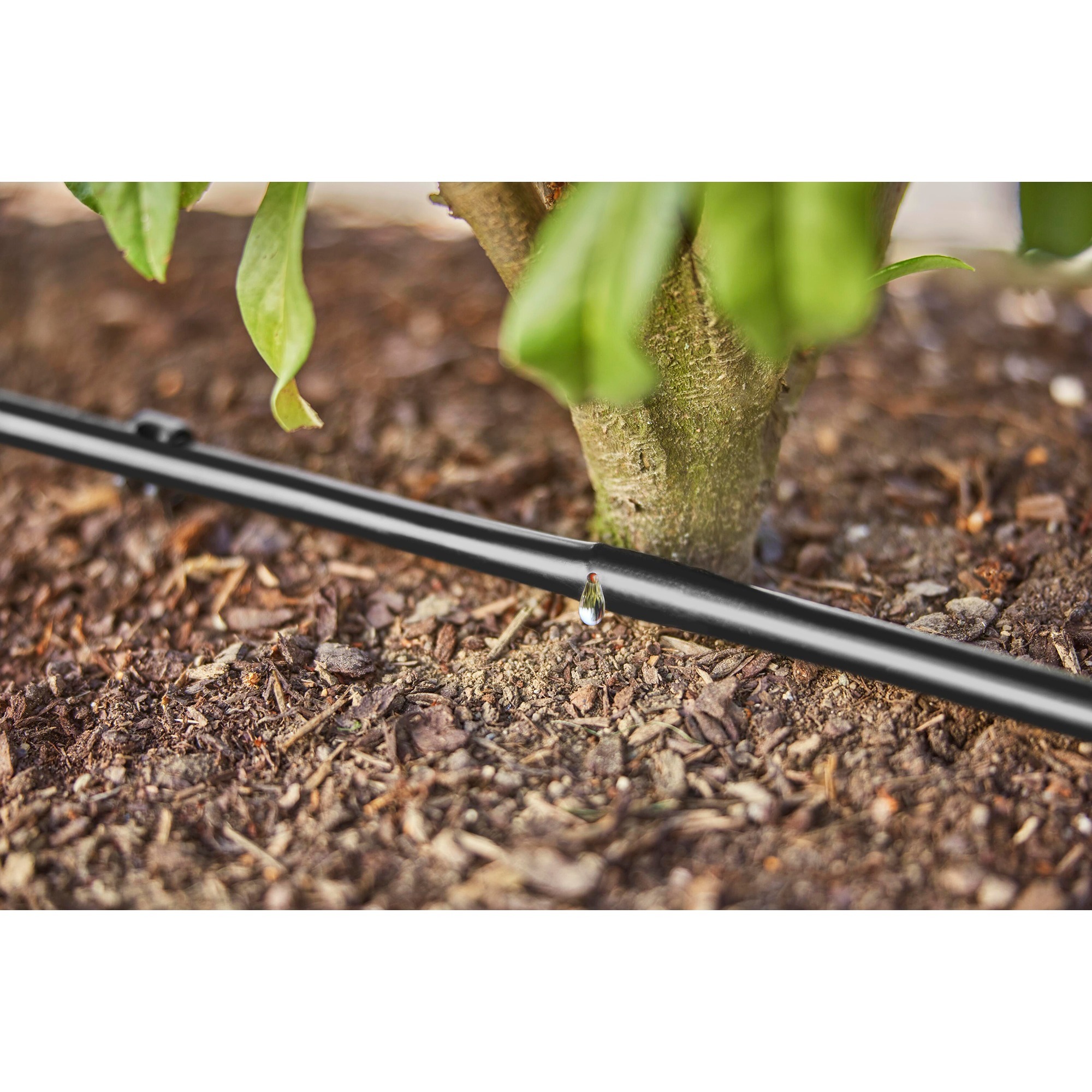 GARDENA Micro-Drip-System Tropfbewässerung Hecken/Büsche Set, 50 Meter, Tropfer schwarz, Modell ...